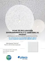 Gyptone® Activ'Air® Point 11 A | Placo®